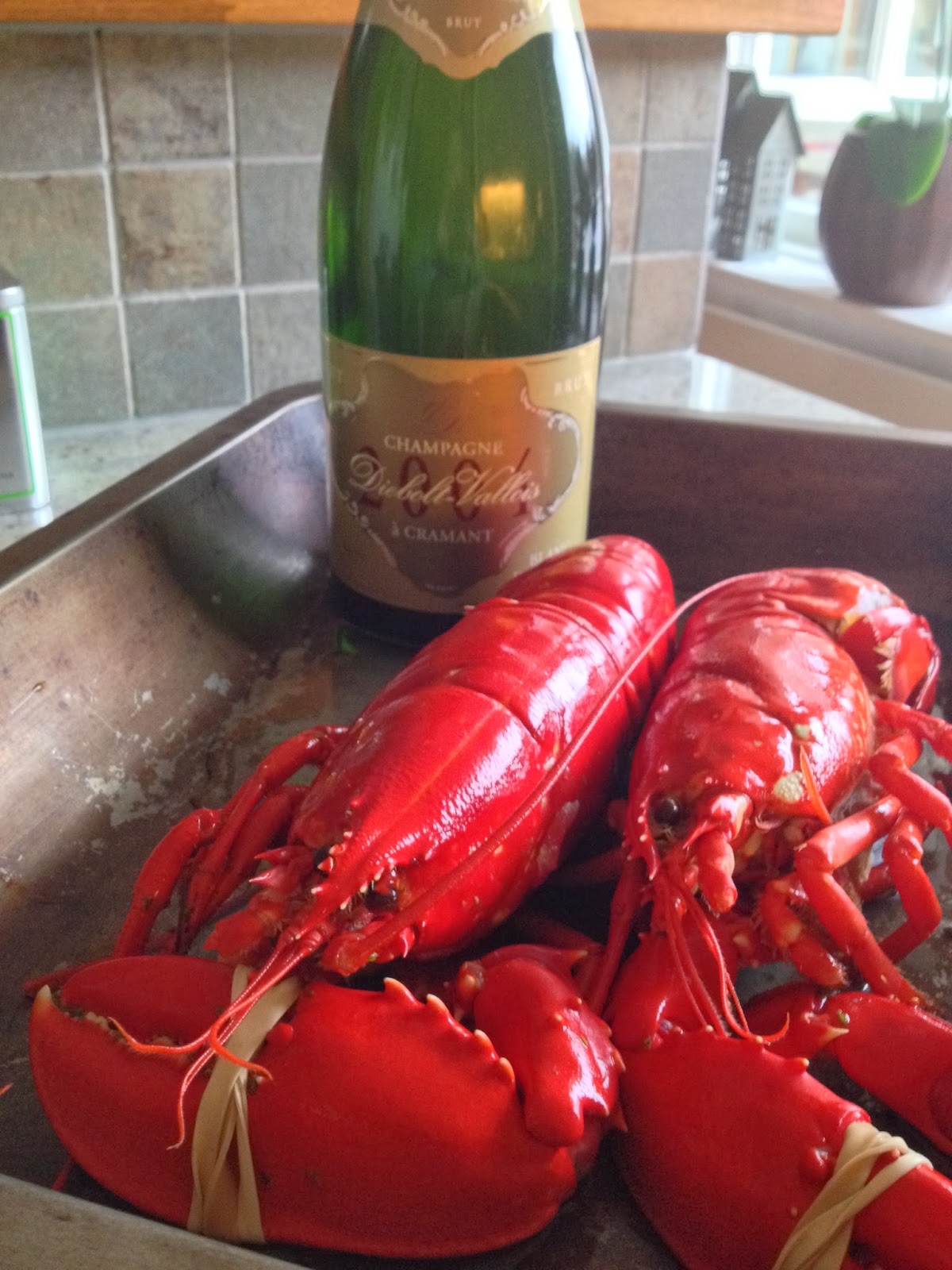 JC:s Vintankar: Champagne+hummer och Amarone+parmesan=Bröllopsdag