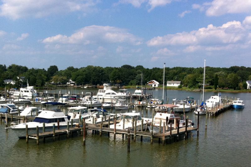 Life in the Slow Lane (The Pearl): Aug. 8 - Cobb Island, MD