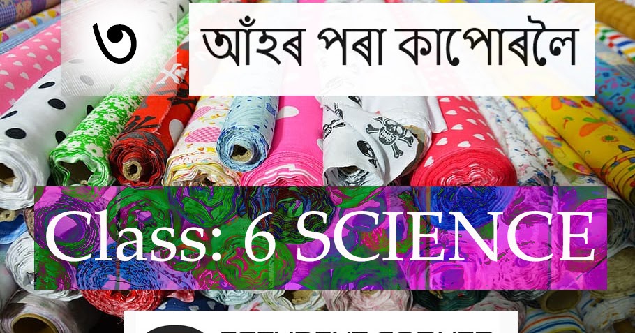 Lesson 3 Class 6 Science Assamese Medium Solutions lesson-3-class-6-science-assamese-medium-solutions