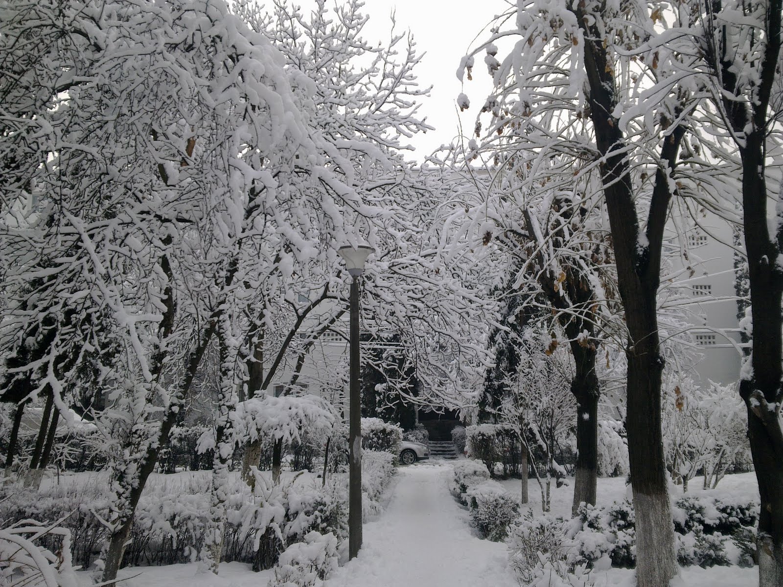 Traveller's guide to Cluj: Winter in Cluj