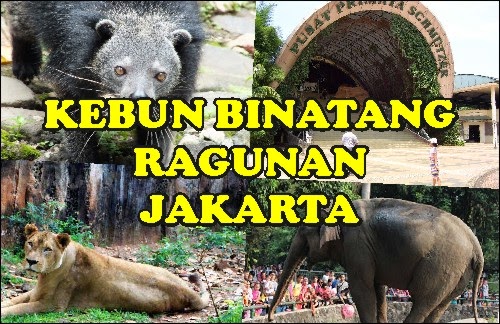Harga Tiket Wisata Kebun Binatang Ragunan Jakarta