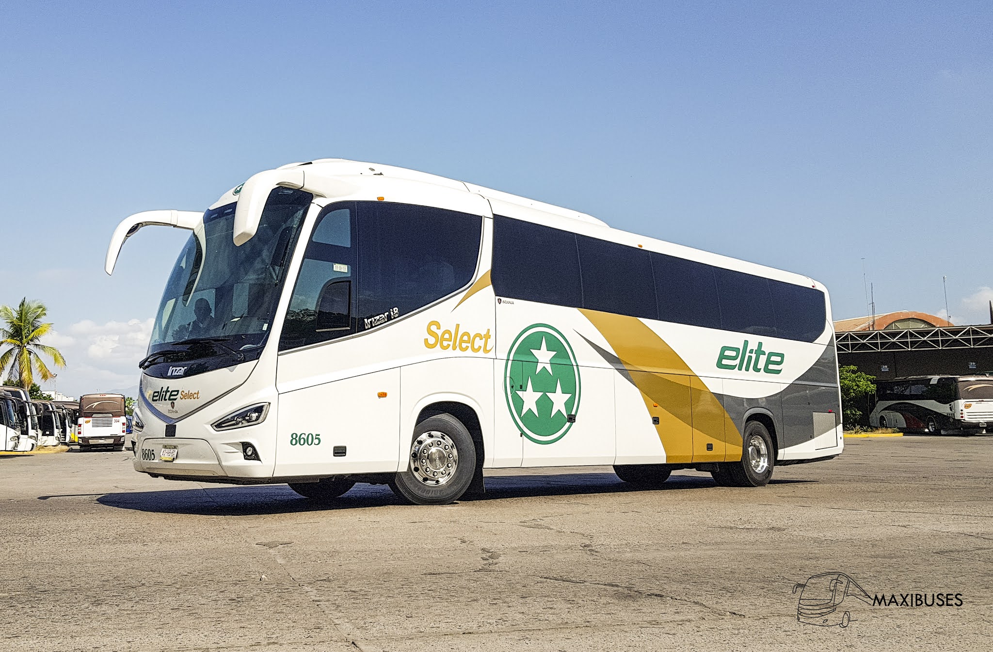 MAXIBUSES: ELITE SELECT