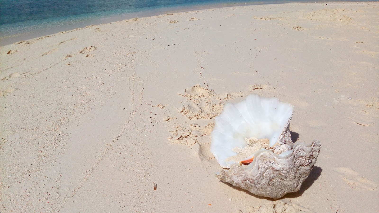 Coron: The Gateway to Wonders of Palawan