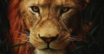 Watch The lion king movie 2019