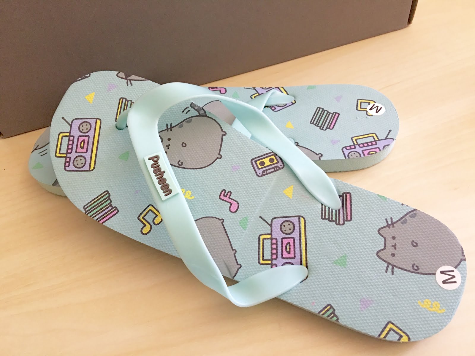 Chicachu: Pusheen Box #1 Summer Box!