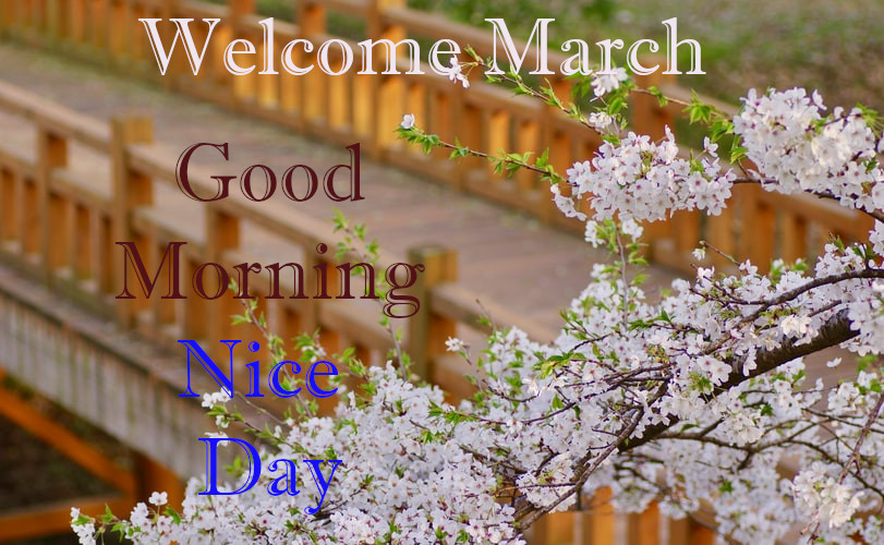 Top 10 Wish You Good Morning Welcome March Images greating Pictures ...