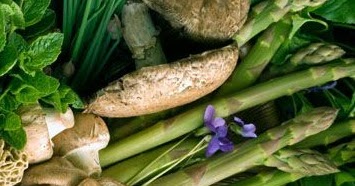 Beginners Guide to Foraging | Be the Man of Tomorrow