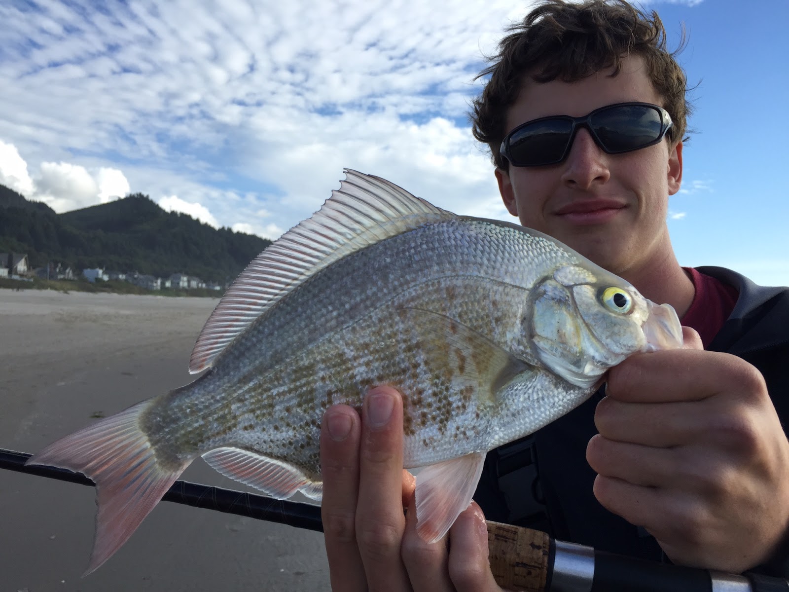 Pacific Northwest Saltwater Fish: A Spooled Fish Profile