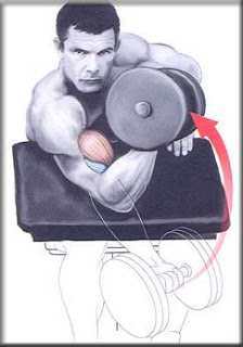 Rosca Scott - Exercícios Para Bíceps - #Fikagrandeporra