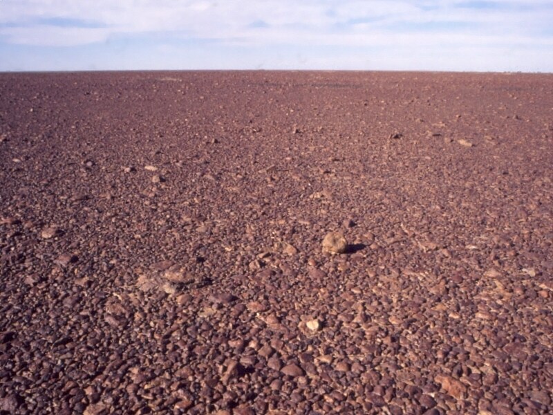 Ian Fraser, talking naturally: Sturt National Park; dry, distant and ...