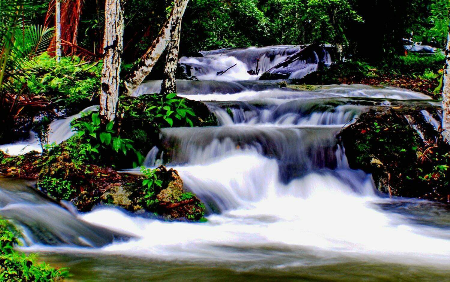 Wisata Fakfak Kali Ubadari - Gabhex