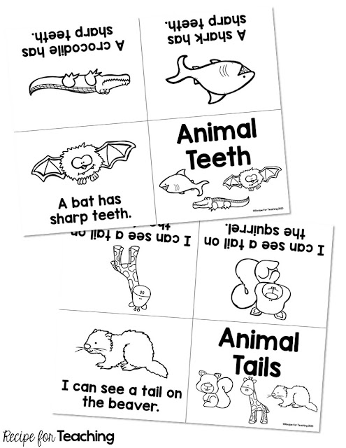 Animal Books - Recipe for Teaching