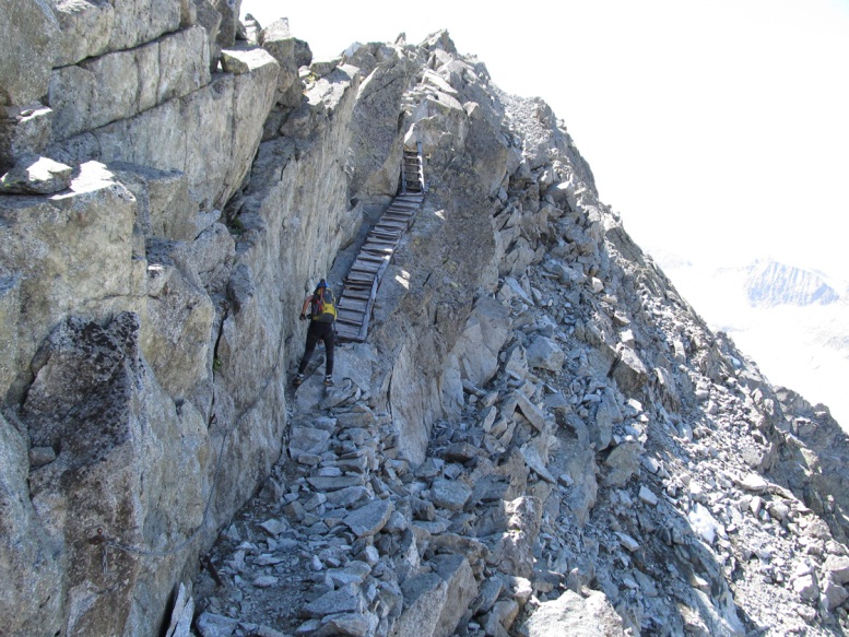 Escursionismo a 360°: Il Sentiero dei Fiori e Cima Payer (EEA)