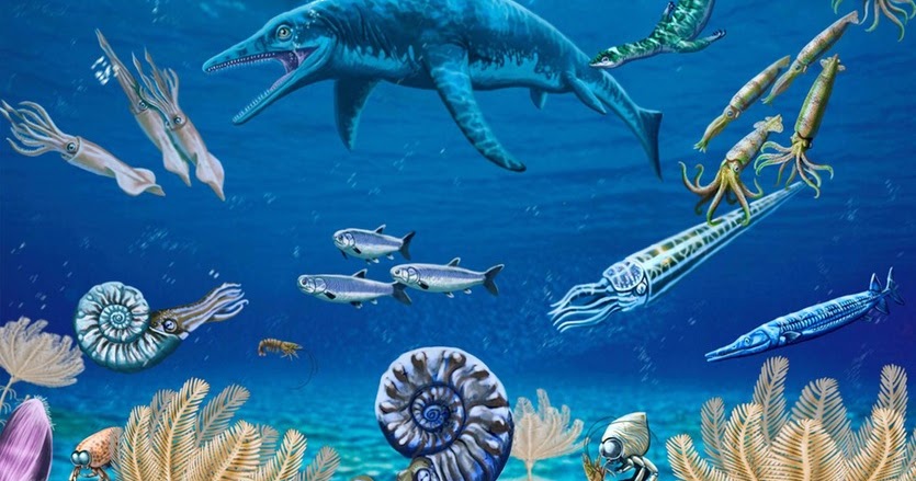 Ammonoidea: Unexpected Early Triassic marine ecosystem