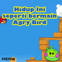 DP ANIMASI BBM GIF: HIDUP SEPERTI ANGRY BIRD Animasi Bergerak