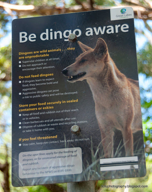 Tofu Photography: Jan 13, 2013