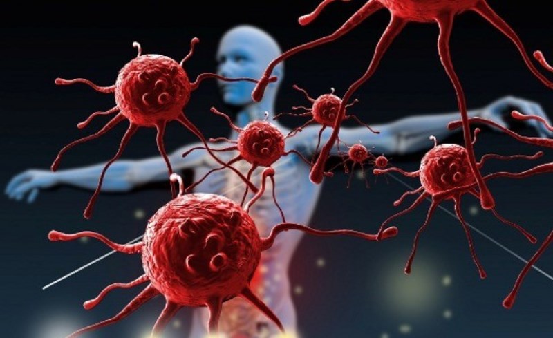 ¿COMO FUNCIONA EL SISTEMA INMUNOLOGICO?