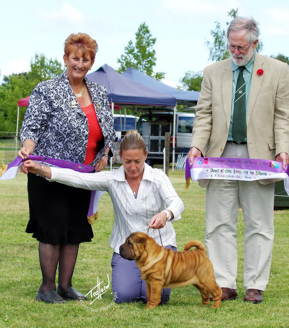 TraffordPhotos - Australian Dog Show Photos: WESTBURY AGRICULTURAL SOCIETY