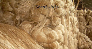 Serat yang Berasal dari Tumbuhan dan gambarnya ~ Fadhillahxnd