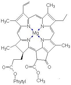 Food Chemistry: ปฏิกิริยาของความร้อนและ pH ต่อเม็ดสีของพืช