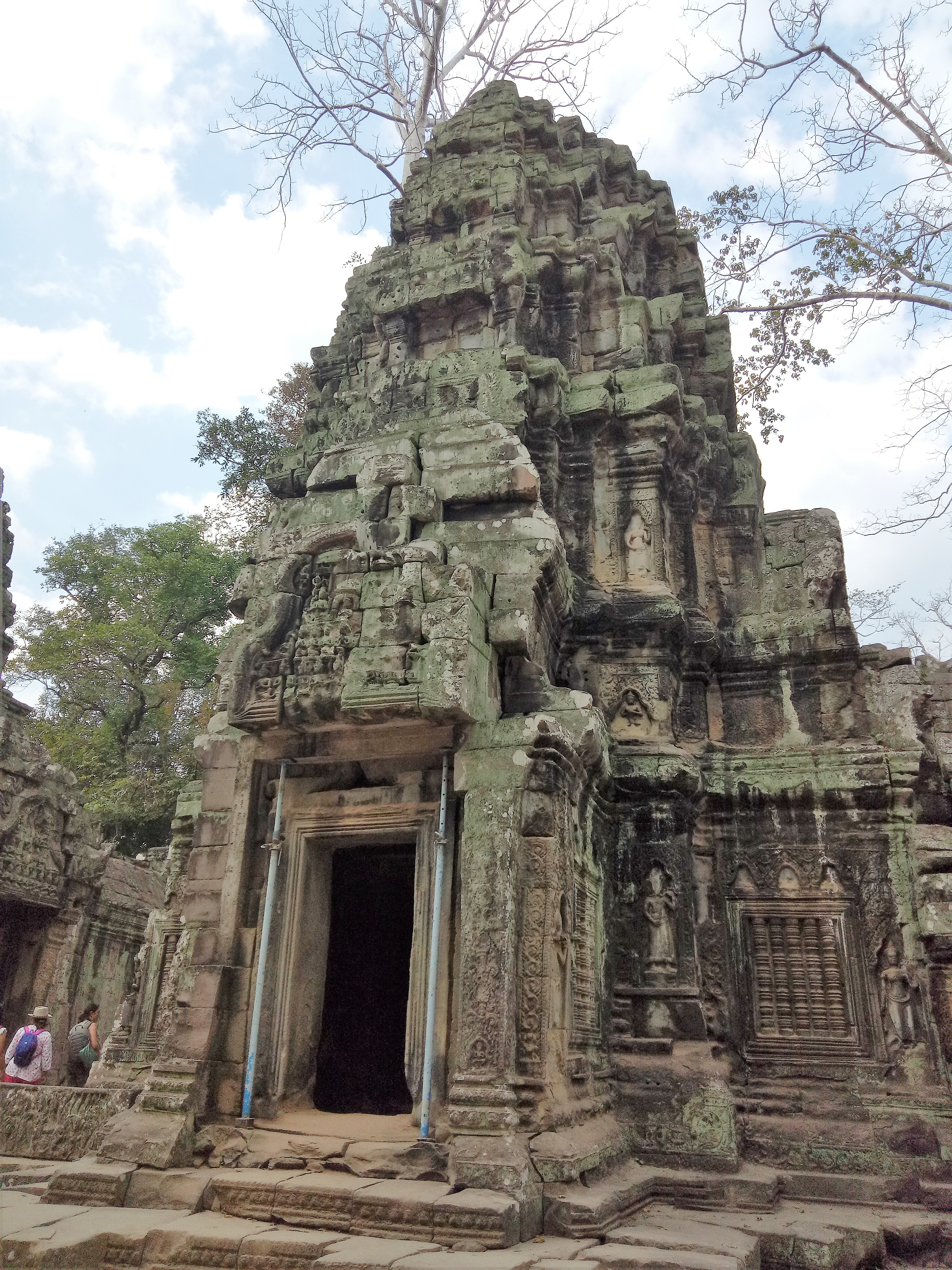 Ta Prohm Temple in Siem Reap