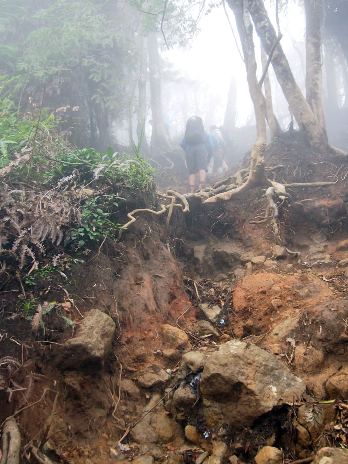 Mendaki Gunung Cikurai jangan berharap bonus | Beyond Vacation