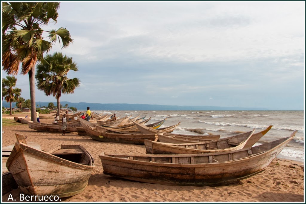 SIBISNUS: UGANDA: BUTIABA (LAGO ALBERTO) - RUIGO (KIBELE CRÁTER)