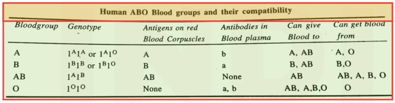 Blood Groups | ABO Blood Groups & Rh Blood Group