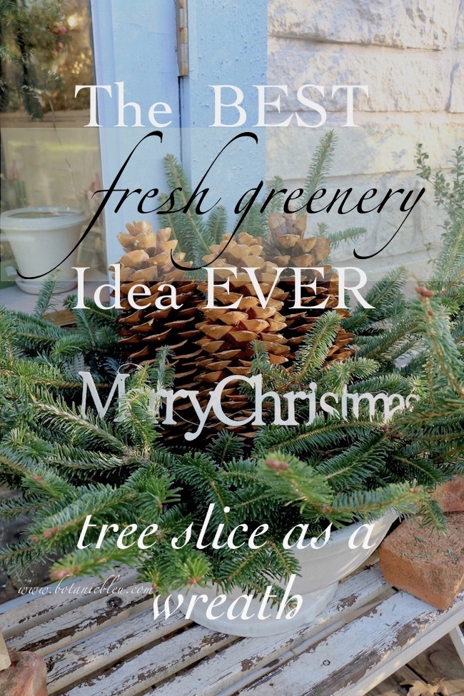 Botanic Bleu: The Best Christmas Greenery Idea | Tree Slice As A Wreath