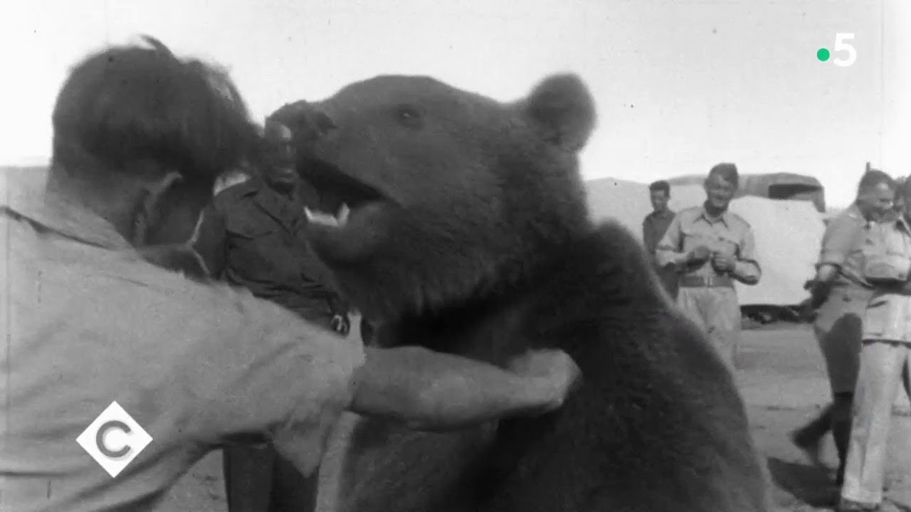 Imágenes Corporativas del Juez Roy Bean: Vocabulario Fundamental ...