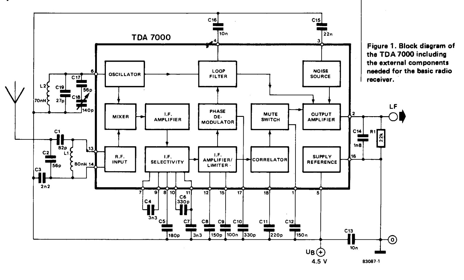 Flipside The Film: Einstein's Brain