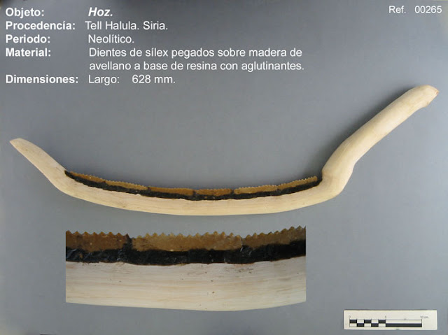 Historia de Primero 1: NEOLÍTICO - Tell Halula