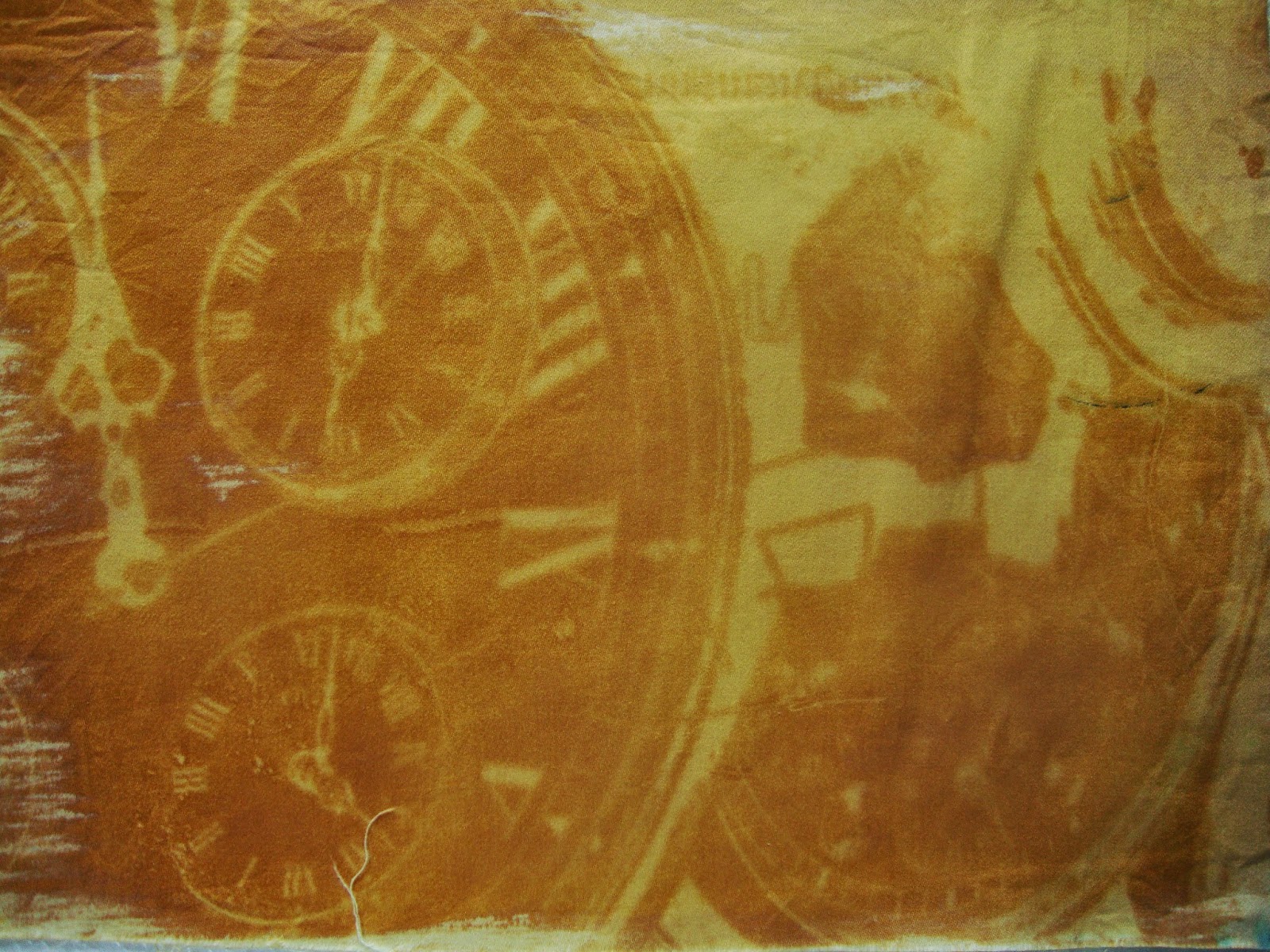 Robbie's Paw Prints: Solar Fast Process