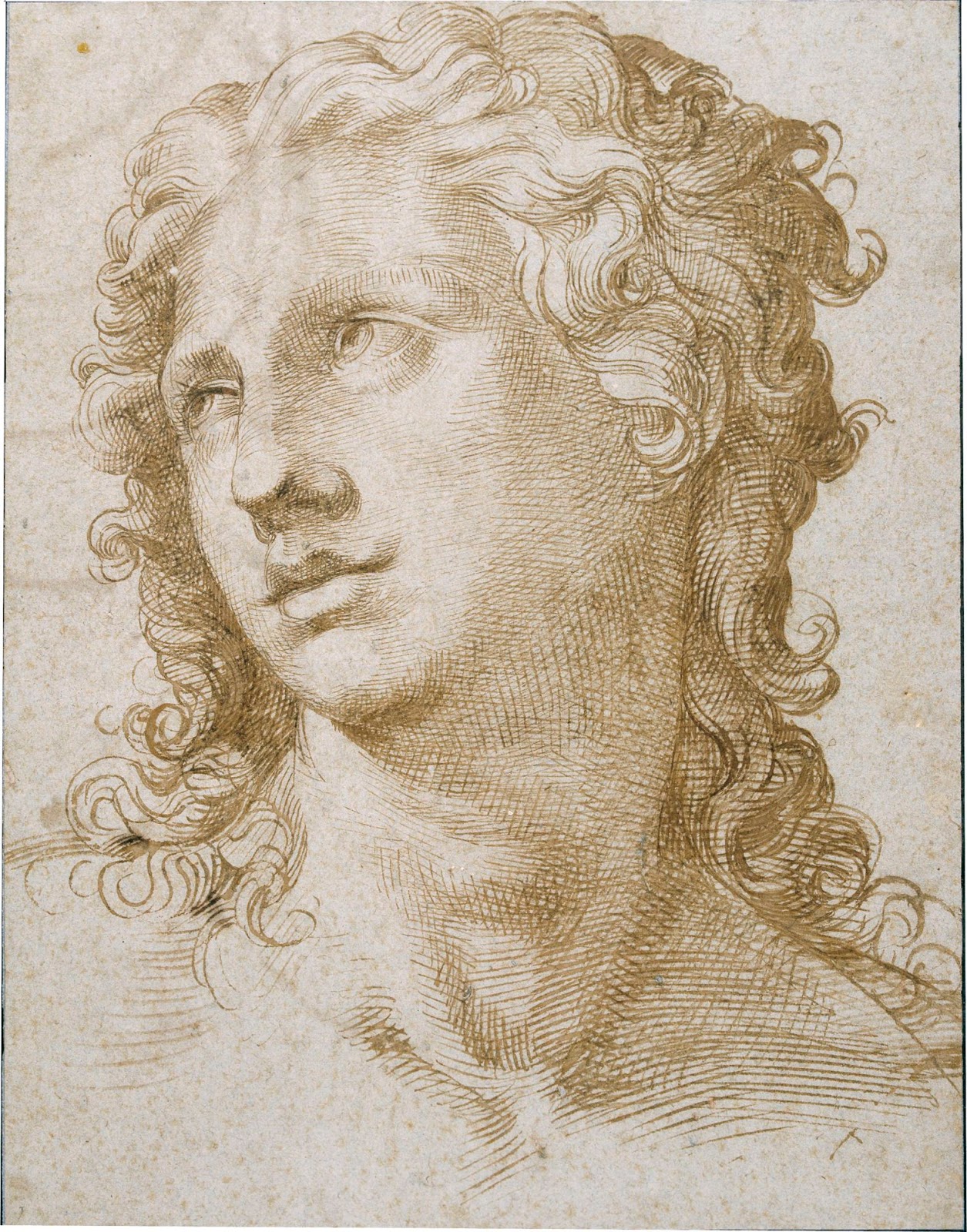 Spencer Alley: Italian portrait drawings, 16th-18th centuries