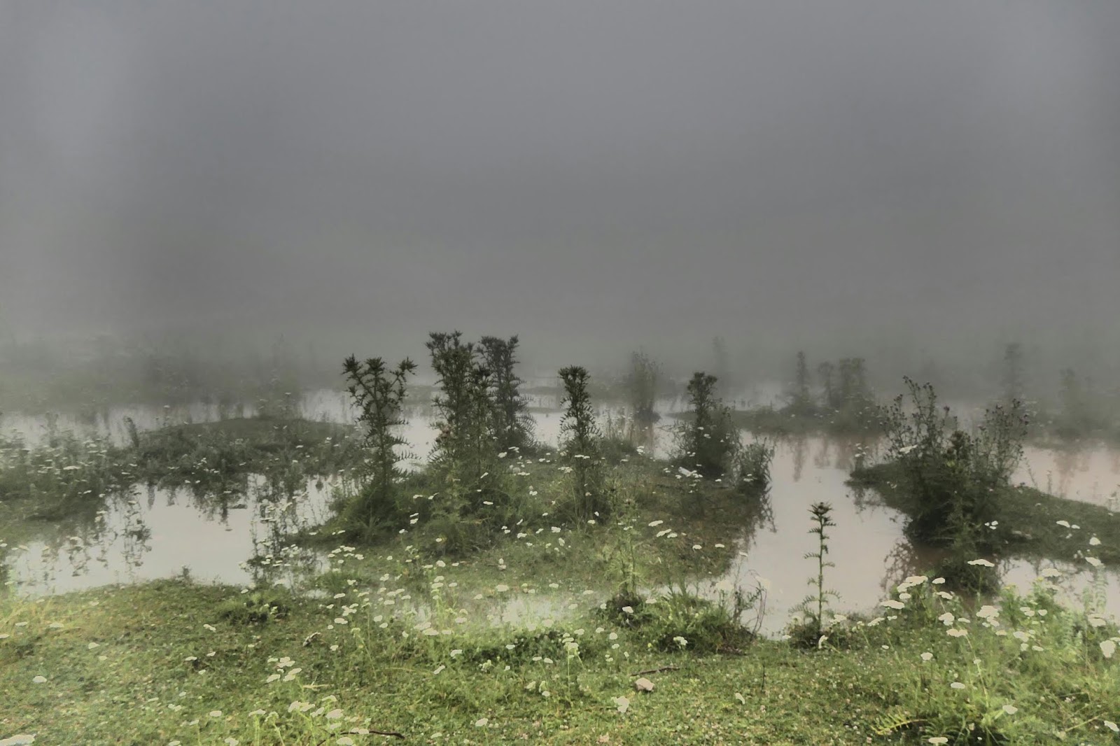 RoadTrip from Austria to Iran 2019: 1400 km: Albania, Sari Saltik