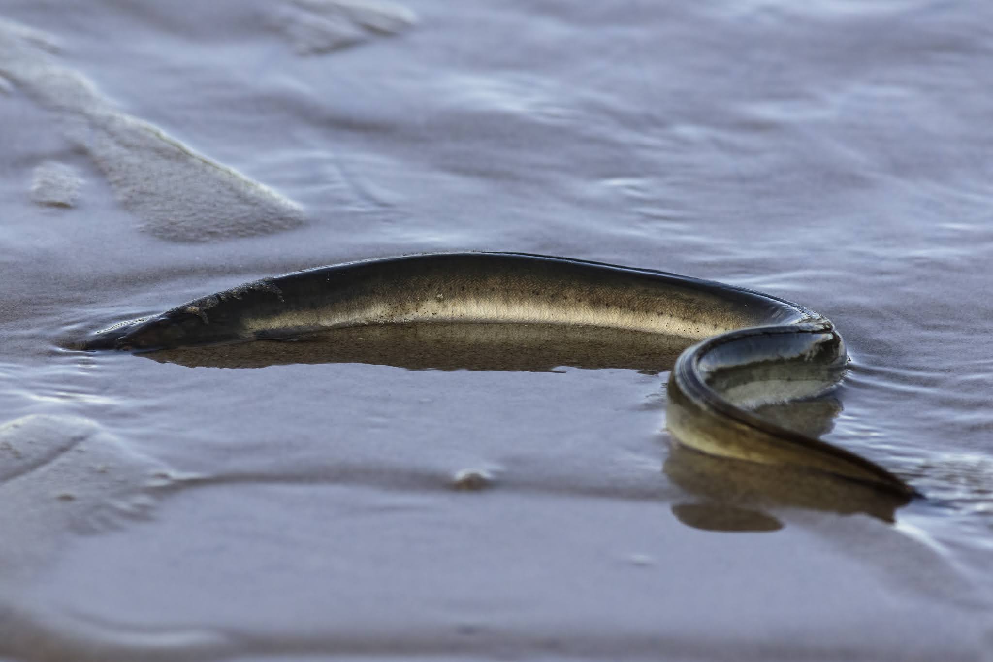 Druridge Diary: A record-breaking year