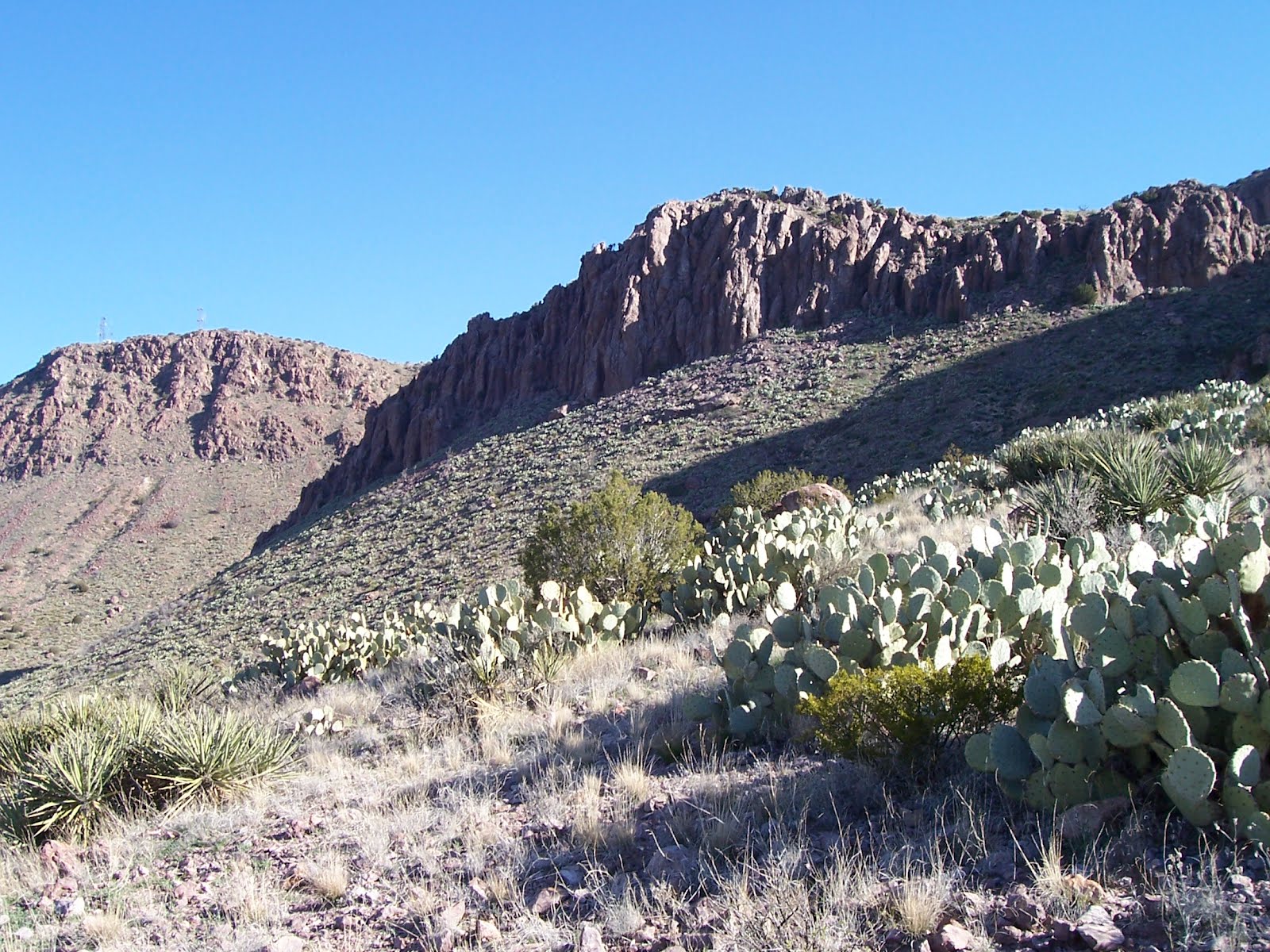 Southern New Mexico Explorer: Little Florida Mountains