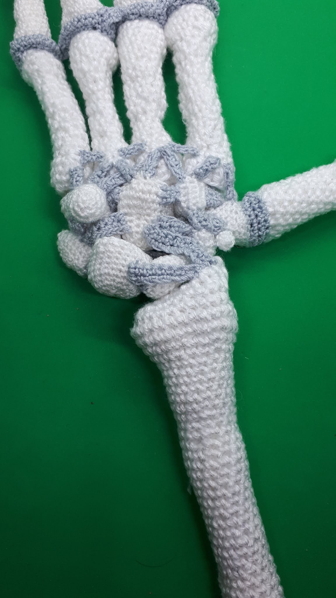 Adventures into Anatomical Crochet: Life-size skeleton arm