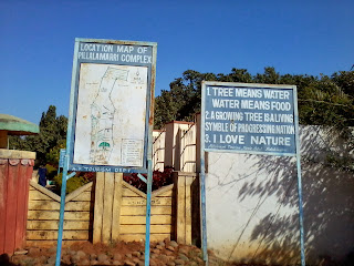 Pillalamarri Banyan Tree in Mahabubnagar - Indian Temples List