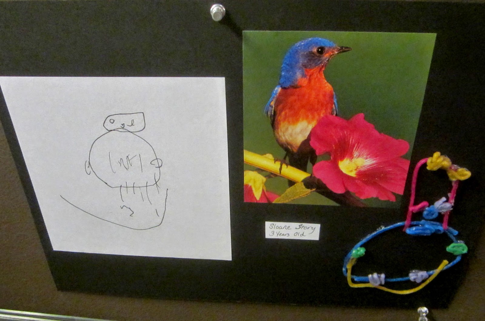 art and soul preschool: Birds of a Feather