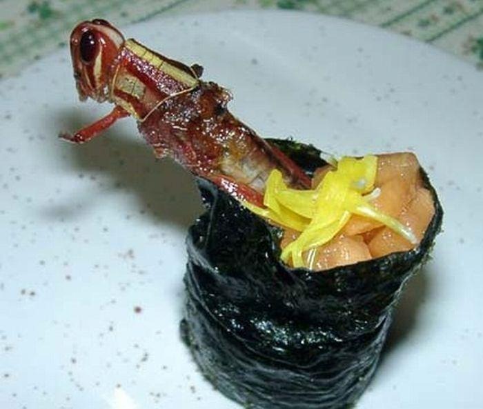 Chill Out: Best Sushi Ever (8 Pic)