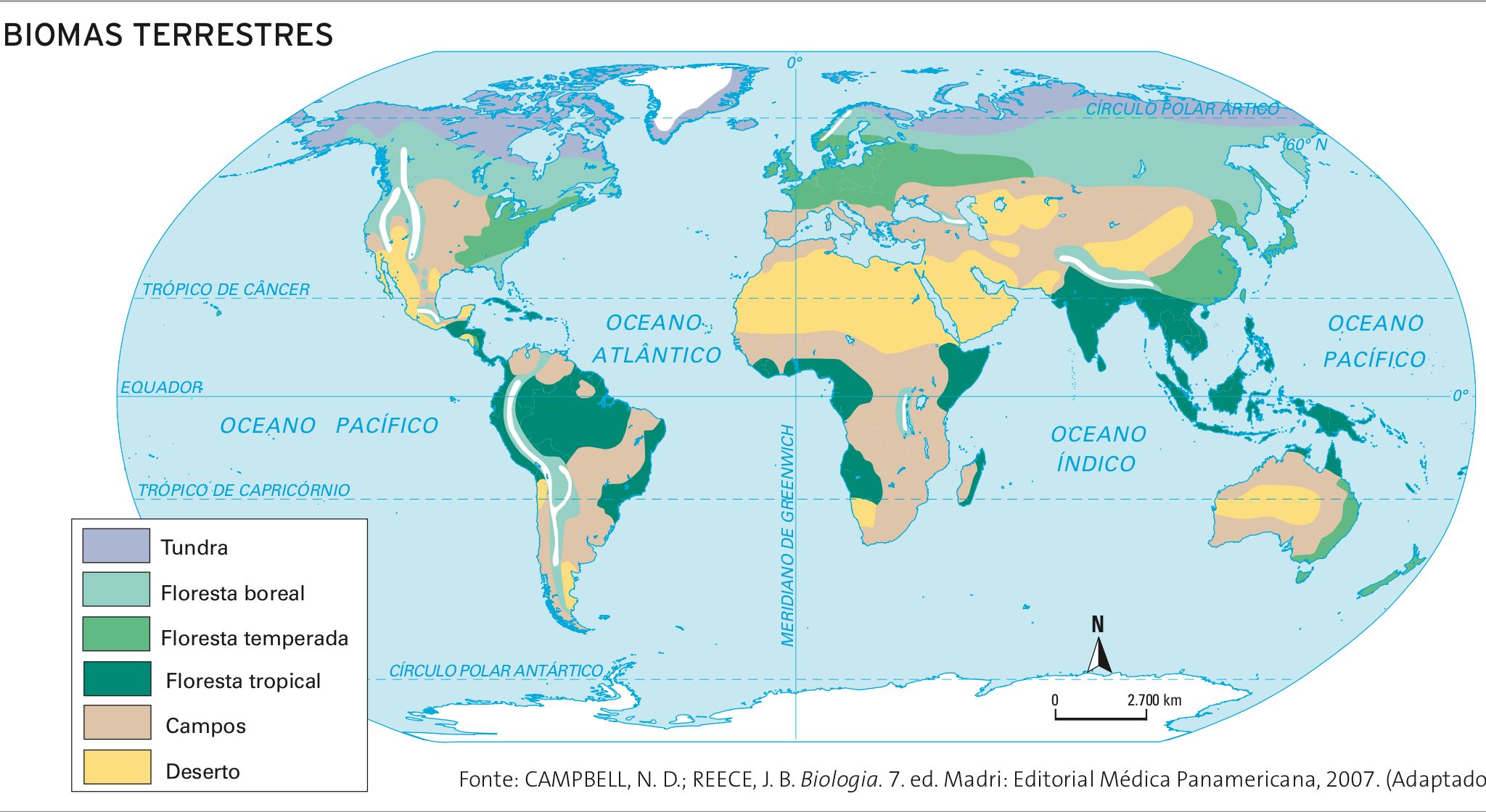 Categoria:Biomas Terrestres , Qué son los biomas: tipos ...