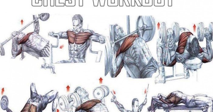 How To Build Chest Muscles: Get Massive Pecs - Bodydulding