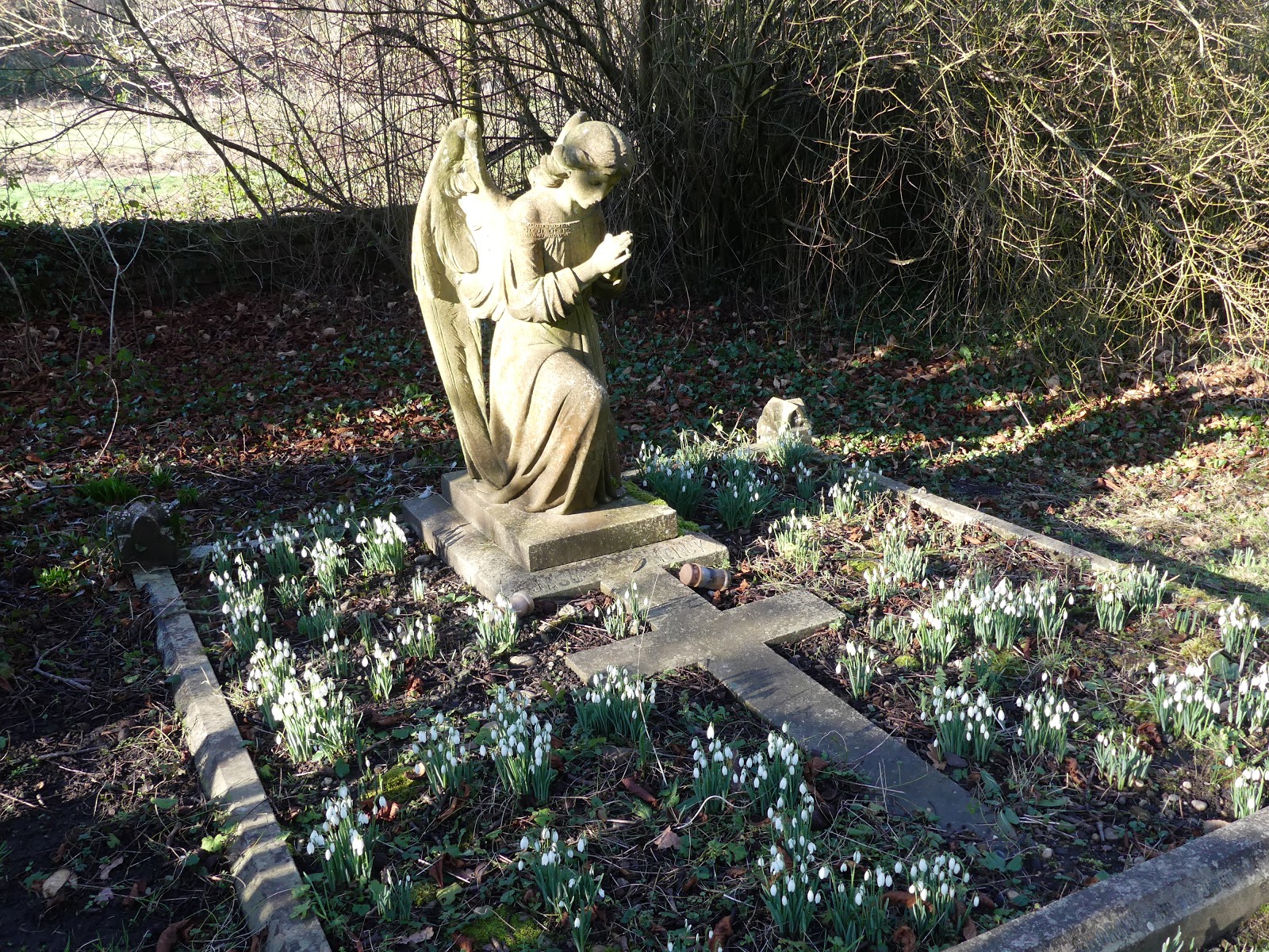 Ragged Robin's Nature Notes: Snowdrops at St Mary's Temple Balsall