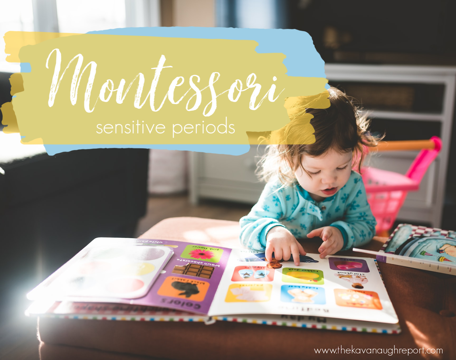 What is a Montessori Sensitive Period? 15+ Articles