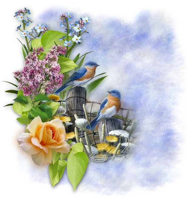 Tvoření: Obrázky PNG