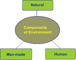 There are three components of the environment and those are (i) Natural ...