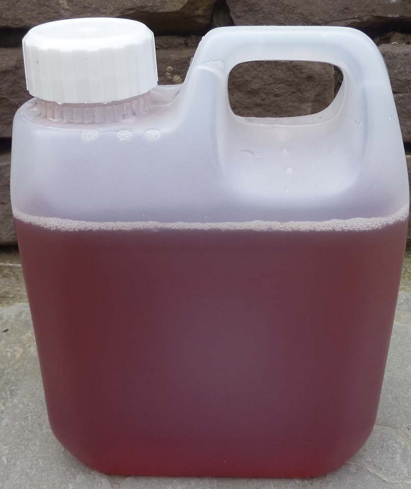 Insect Traps and Lures - Sentomol: Wasp Traps