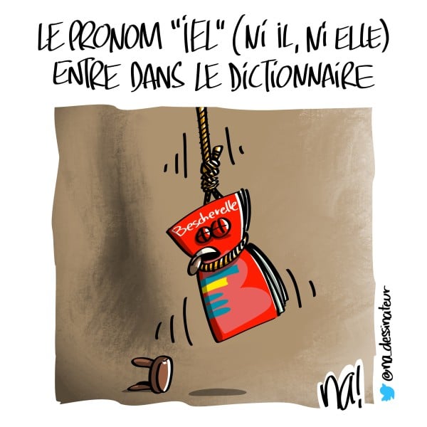 FLE en vrac!: Le pronom IEL