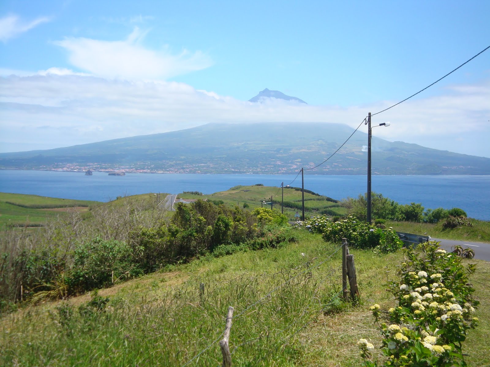 Jungle Jim: Beautiful Horta, Azores